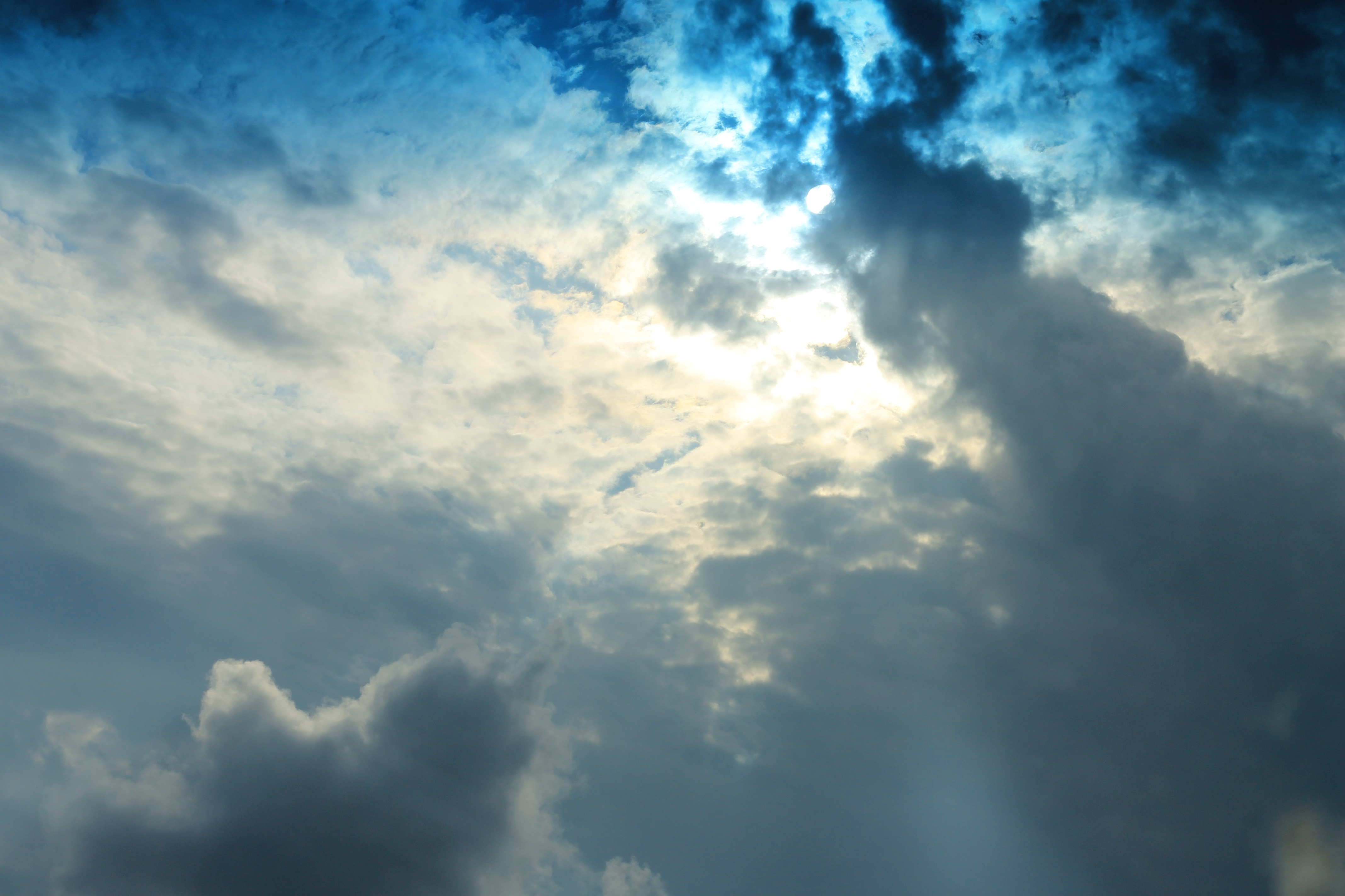 Divine Translation – Alex Garcia Topete