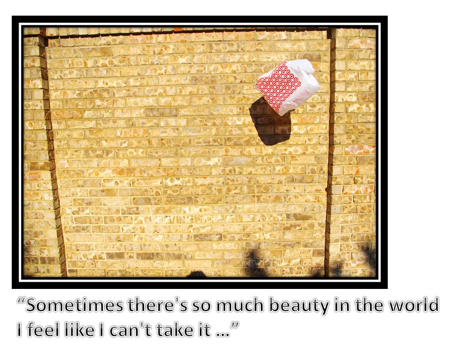 Life as Cinema (2009) – Alex Garcia Topete